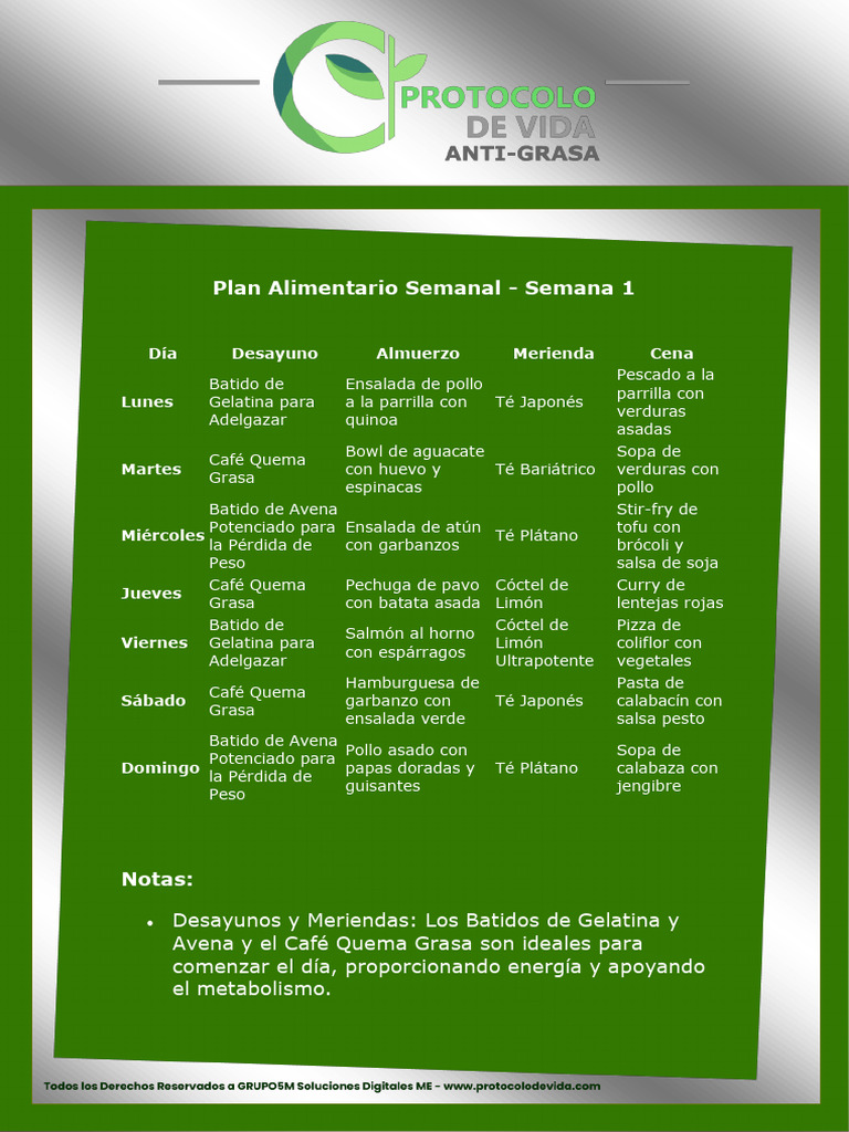Plan Alimenticio | PDF | ensalada | Alimentos
