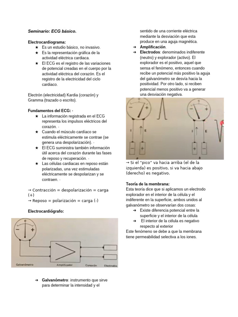 Introducción al ECG Básico y su Funcionamiento | PDF ...