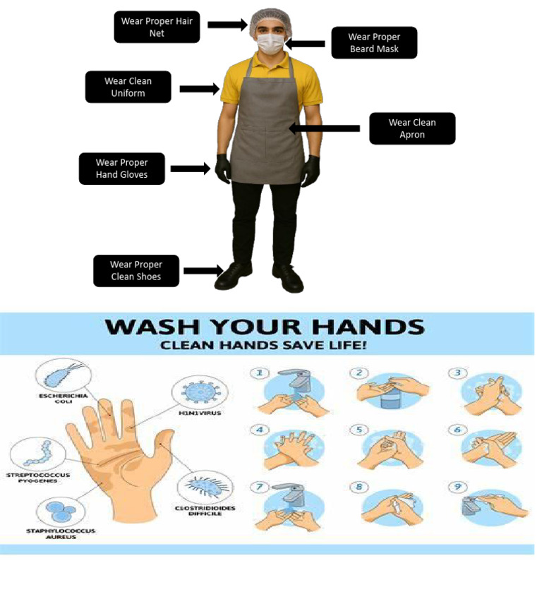 Proper PPE: Hair and Beard Net Guidelines | PDF
