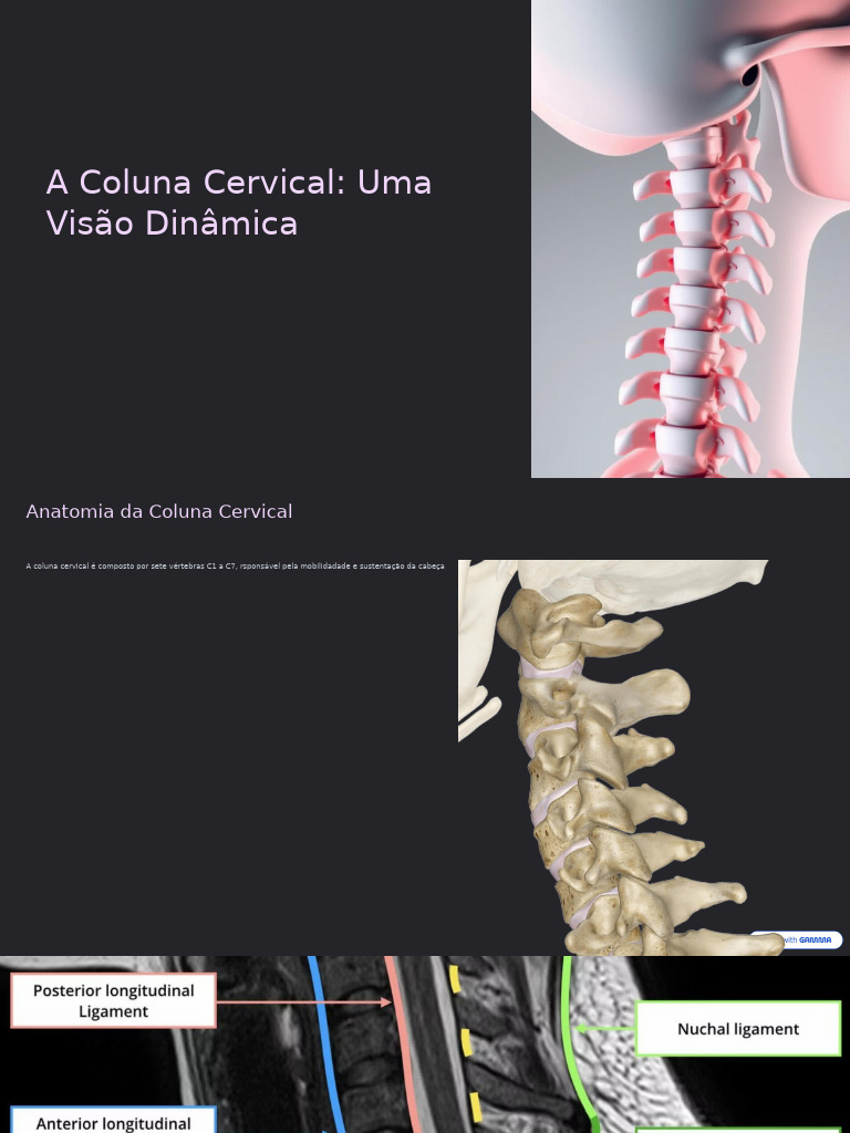A Coluna Cervical Uma Visao Dinamica | PDF