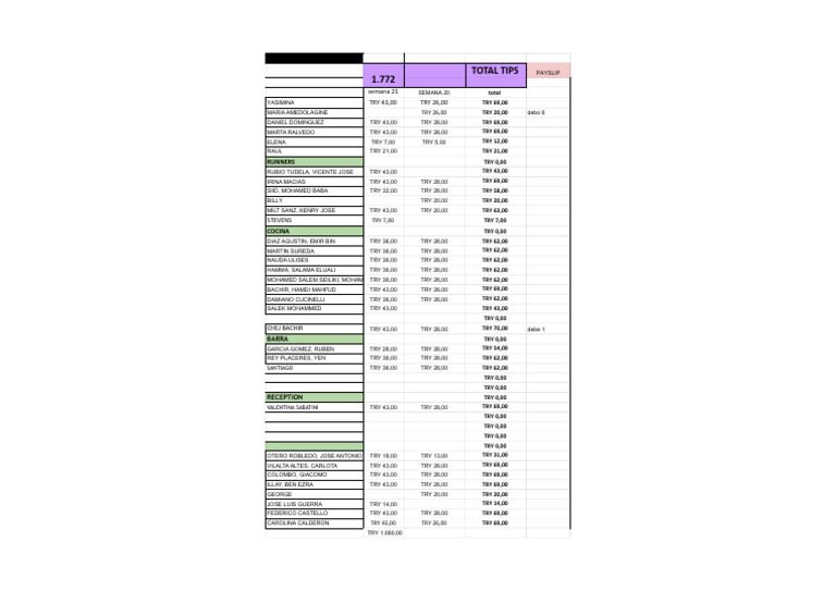 TIPS 2025 - Cash Tips Semana 20 & 21 | PDF