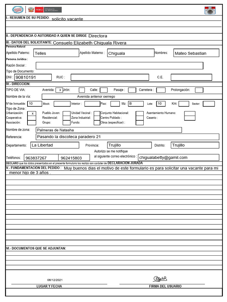 FUT DE LA IE Solicitud | PDF