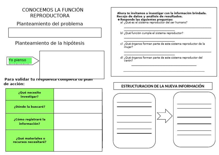 Ficha Conocemos La Función Reproductora | PDF