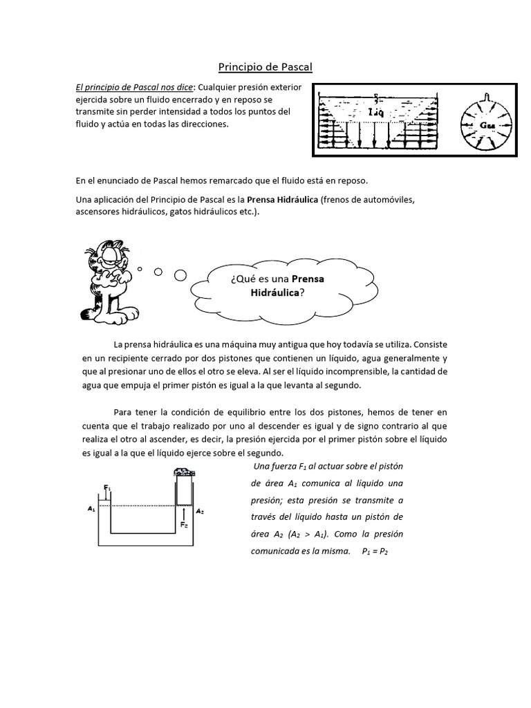 Principio de Pascal y Arquímedes | PDF | Líquidos | Gases