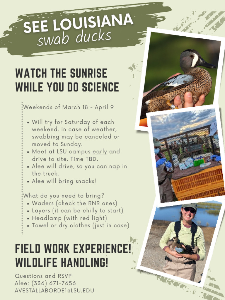 Duck Swab Recruitment Flyer 2 | PDF