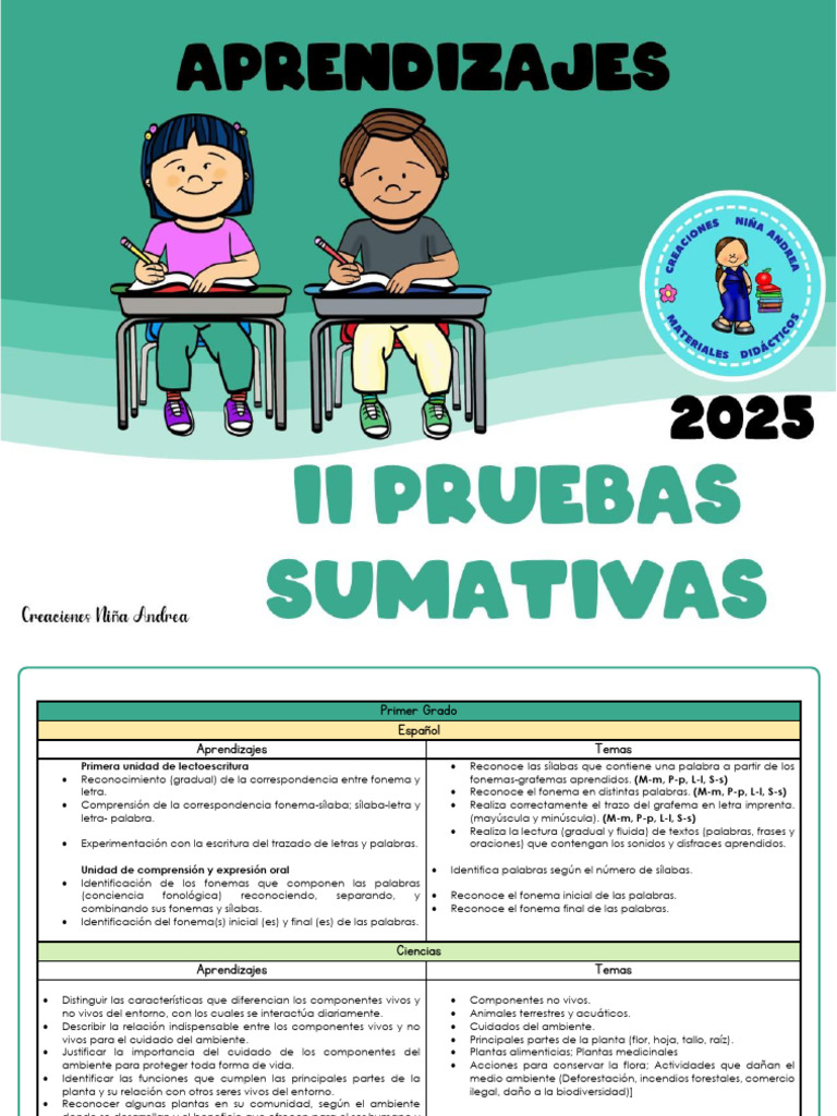 Aprendizajes II Pruebas Sumativas 2025 | PDF | Datos | Fórmula