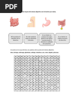 Sopa de Letras del Aparato Digestivo | PDF