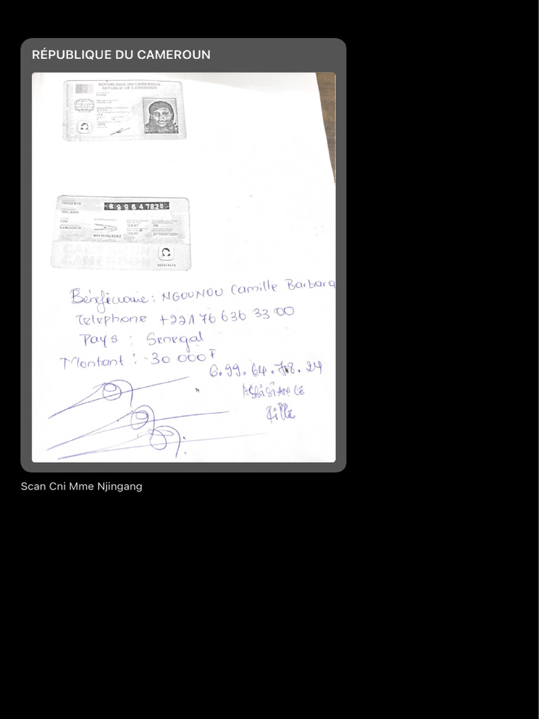 Scan Cni Mme Njingang | PDF