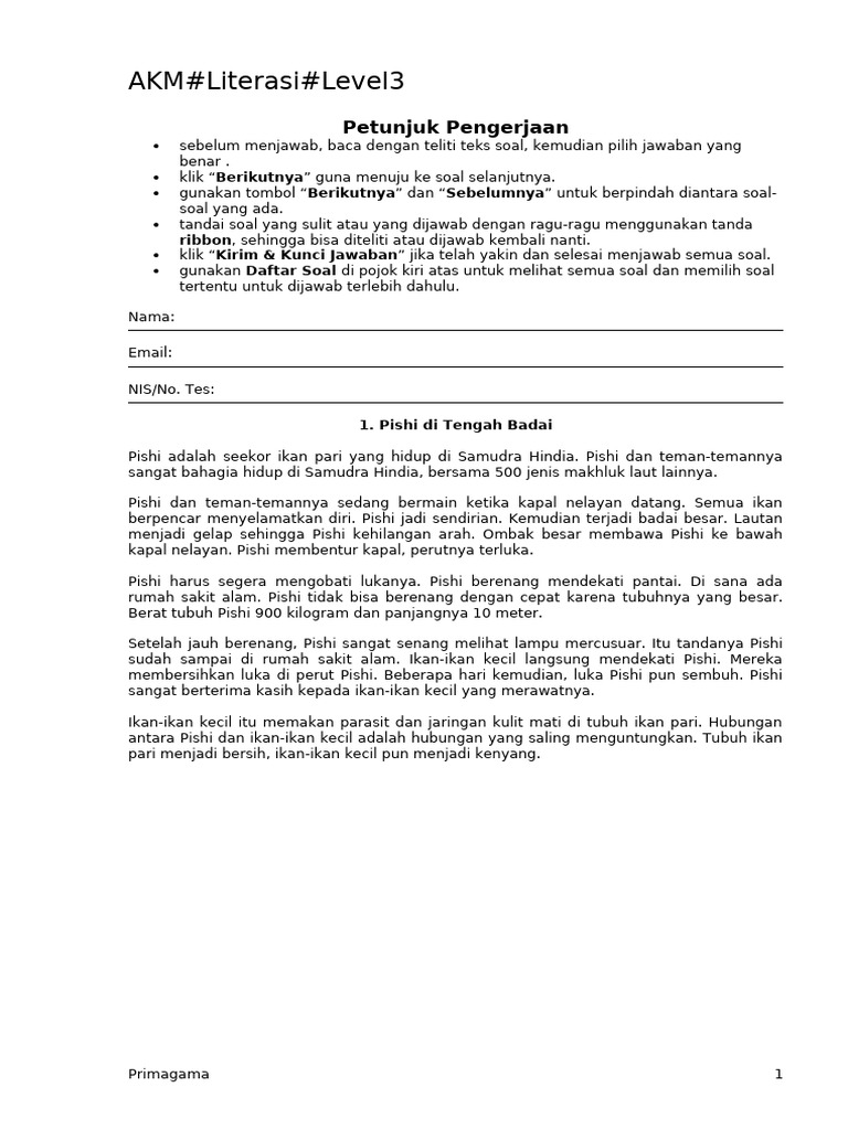 AKM#Literasi#Level3 | PDF