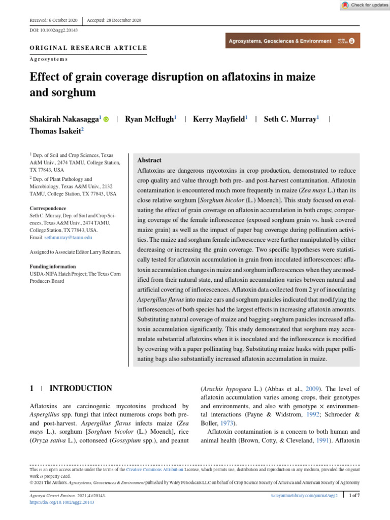 Effect of Grain Coverage Disruption On Aflatoxins in Maize and Sorghum | PDF | Maize | Aspergillus