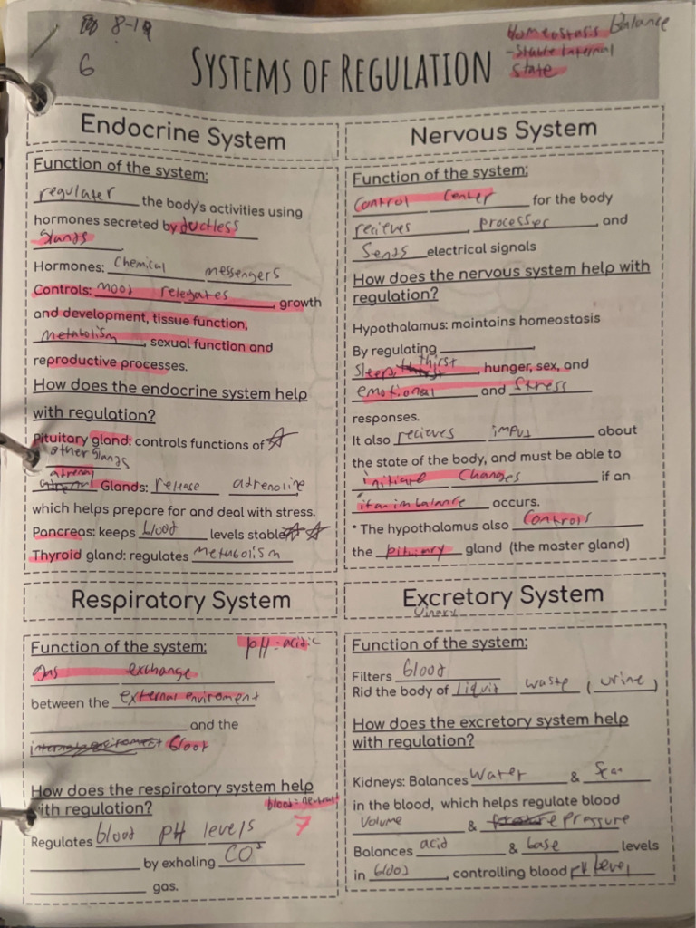 Plant and Animal Systems Notes | PDF