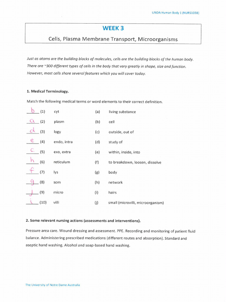 2024 Week 3 Tutorial Workbook Answers (Cells) | PDF