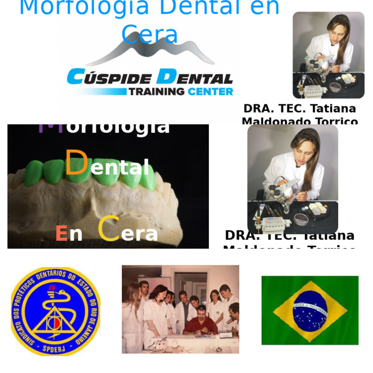 Presentacion Morfologia Cuspide Dental | PDF | Anatomia dental | Diente