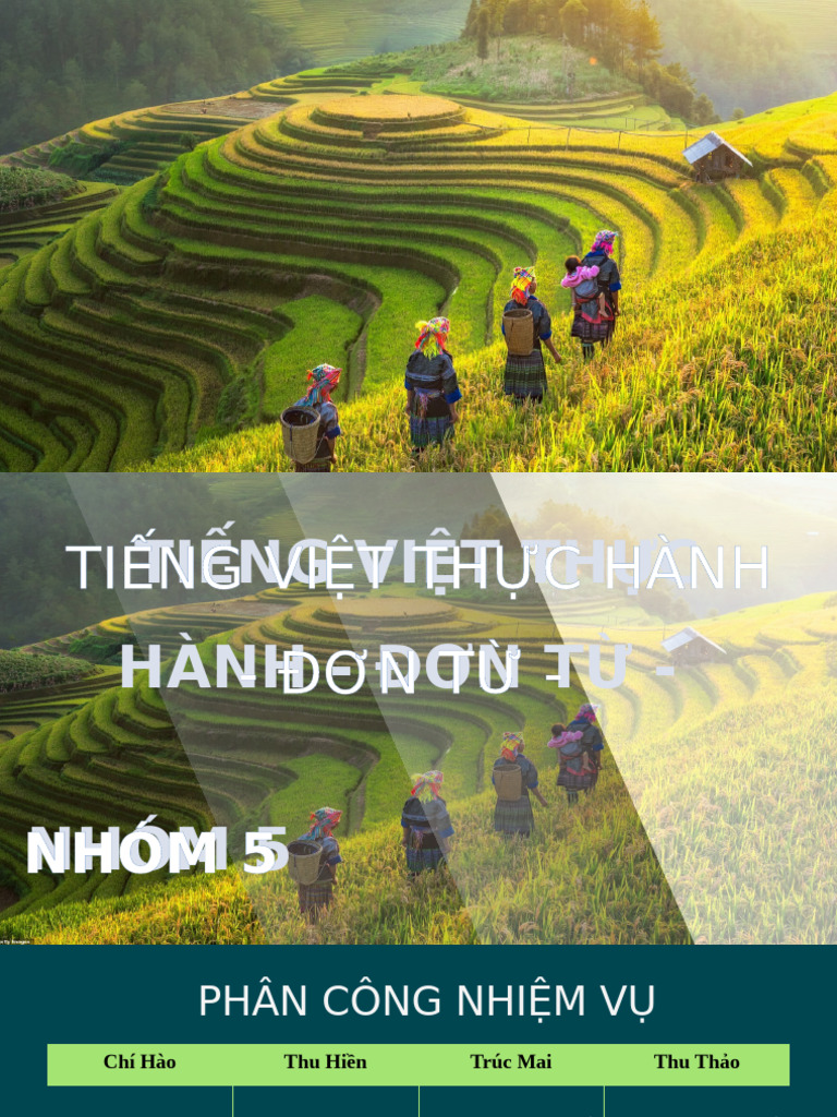 Đơn Từ (Tvth - bản Thuyết Trình) - Final | PDF