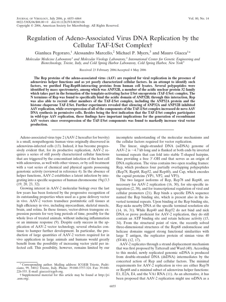 2006 Regulation Of Adeno Associated Virus Dna Replication By The Cellular Taf I Or Set Complex