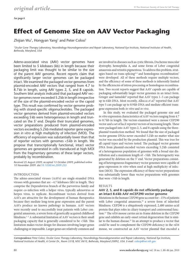 2010-Effect of Genome Size On AAV Vector Packaging | PDF | Viral Vector ...