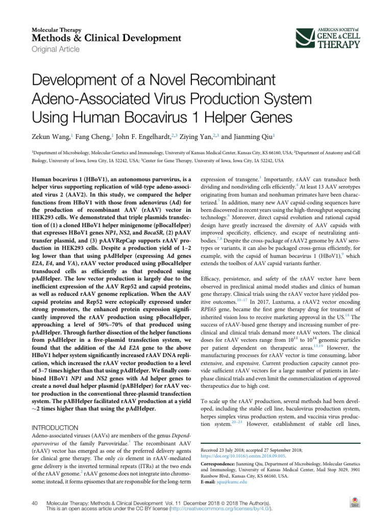 2018-Development of A Novel Recombinant Adeno-Associated Virus Production System Using Human ...