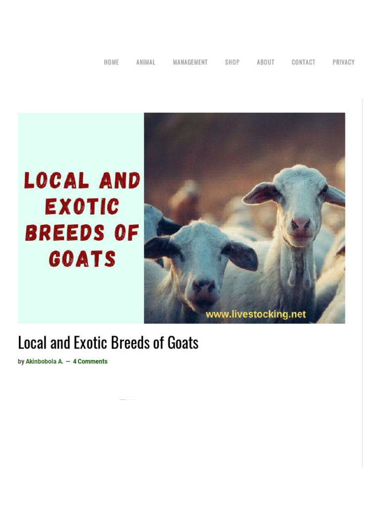 Local and Exotic Breeds of Goats | PDF | Goat | Sheep