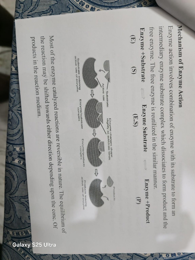 Enzyme Chapter Images Reference | PDF