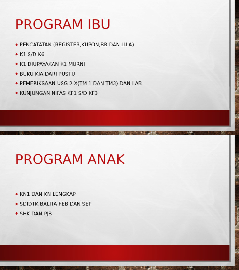 Program Ibu Dan Anak | PDF