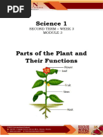 Plant Structure and Functions Guide | PDF | Plants | Leaf