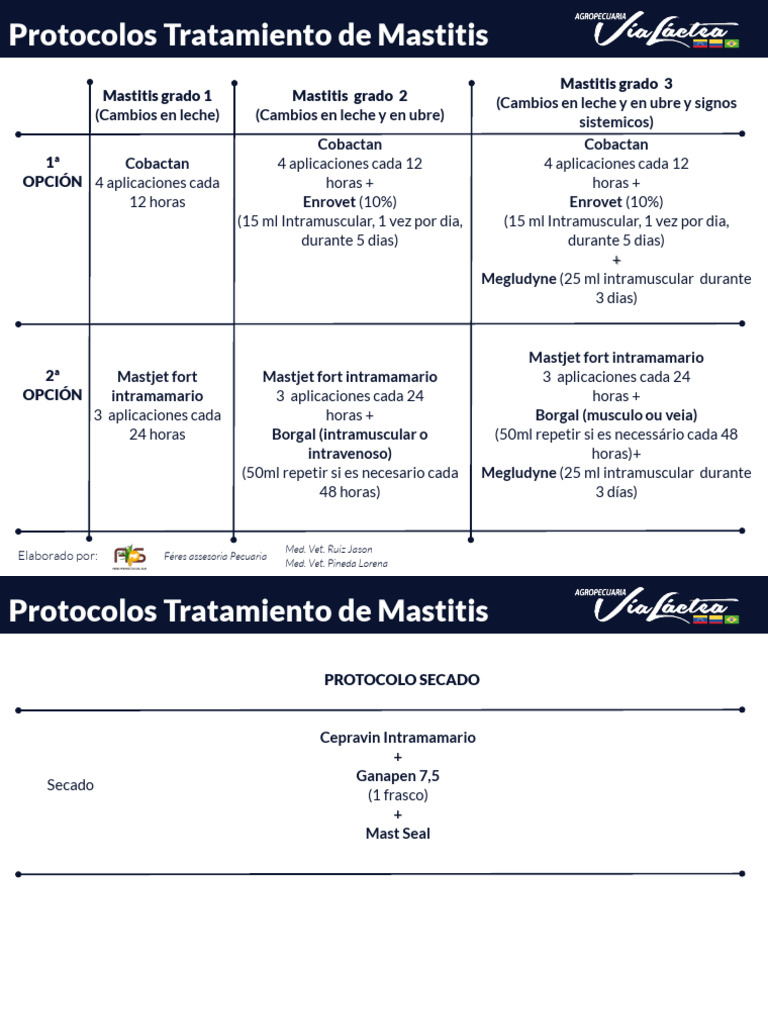 PROTOCOLO DE MASTITIS | PDF