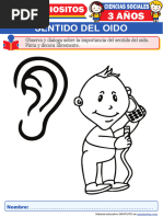 Sentido-del-Oido FICHA PARA IMPRIMIR | PDF