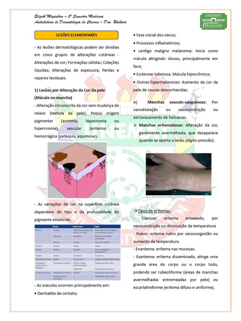 HM - Dermatologia 5sem | PDF | Dermatite | Lepra