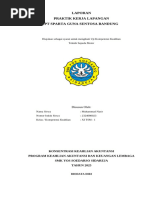 Struktur Dan Format Laporan PKL | PDF