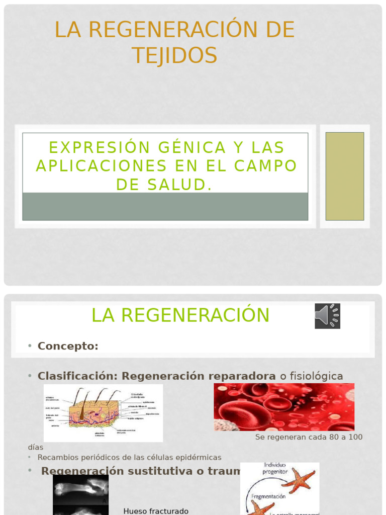 La Regeneración de Tejidos, La Expresión Génica Con Audio | PDF ...
