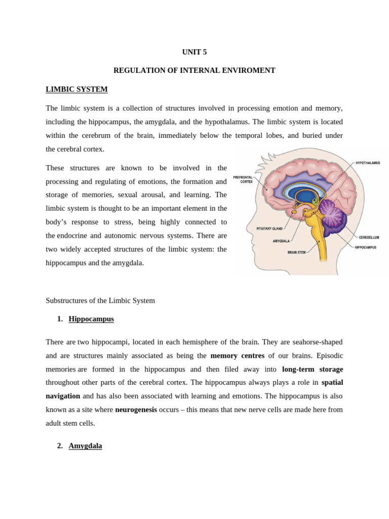 Unit 5 - Regulation of Internal Enviroment | PDF | Limbic System | Adrenocorticotropic Hormone