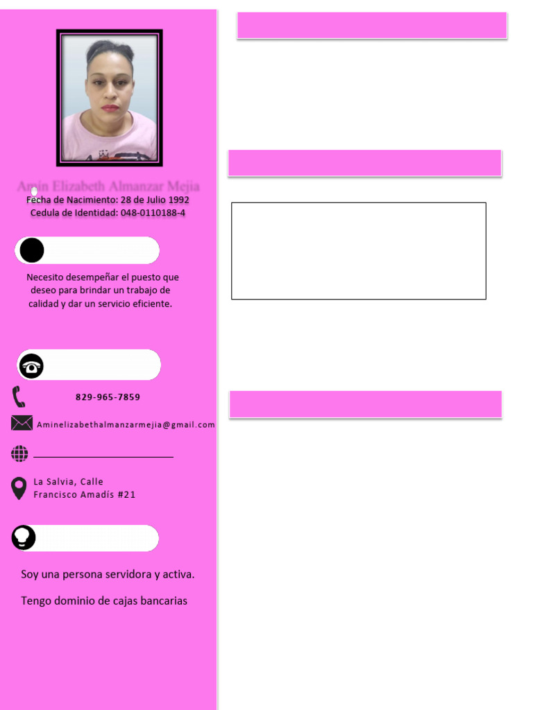 Curriculum Amin Elizabeth Almanzar Mejia | PDF
