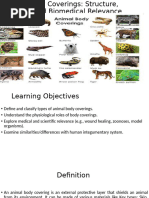 Animal Body Coverings Explained | PDF | Feather | Skin