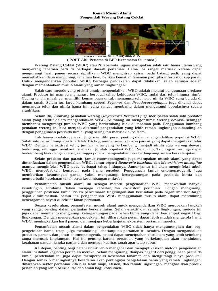 Artikel Kenali Musuh Alami Pengendali Wereng Batang Coklat - I Gede ...