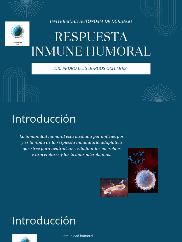 9 Inmunidad Humoral | PDF | Célula B | Anticuerpo