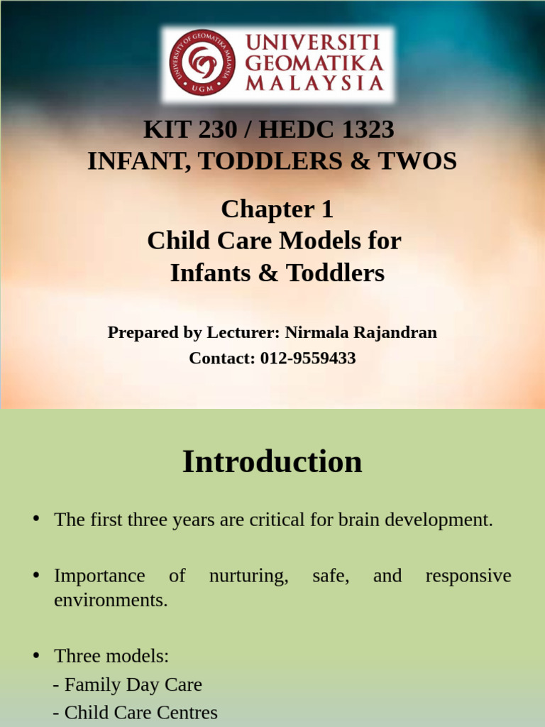 Chapter 1 Infants Toddlers Child Care Models | PDF | Child Care ...