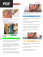 Forames Cranianos: Funções e Localizações | PDF | Anatomia humana ...