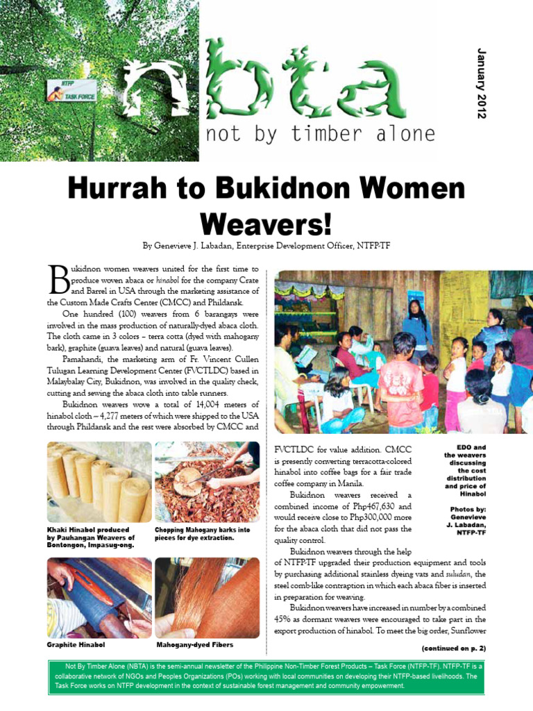 Aeta Weavers' Abaca Cloth Production | PDF | Ecological Restoration ...