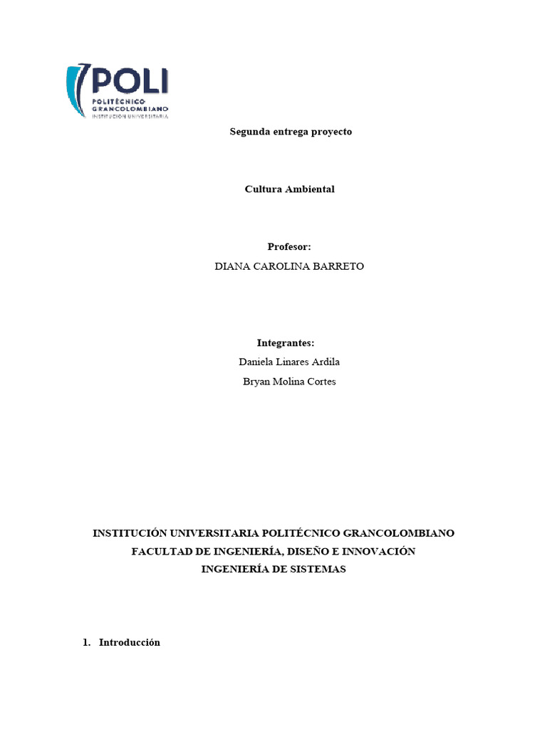 Segunda Entrega Proyecto | PDF