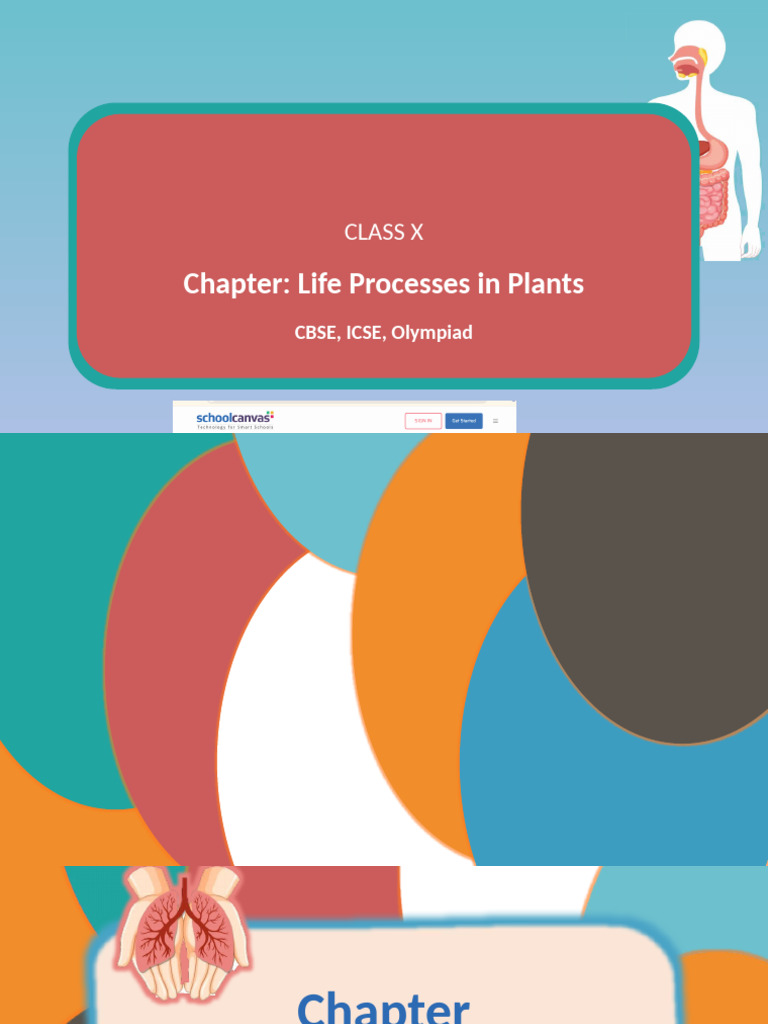 Sample | PDF | Metabolic Pathway | Metabolism