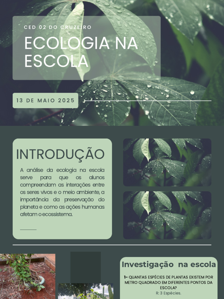 Green Minimalist The Wonders of Nature Presentation_20250513_104421_0000 | PDF | Ecologia | Árvores