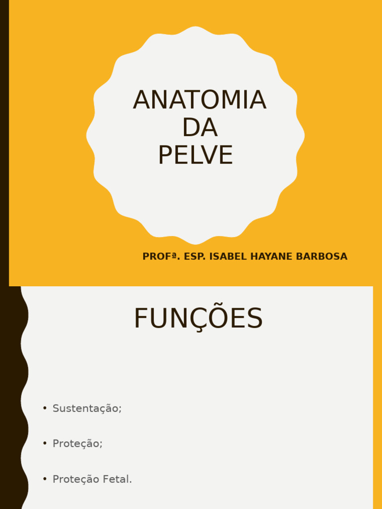 Anatomia Da Pelve NOVA | PDF | Pélvis | Sistema Locomotor