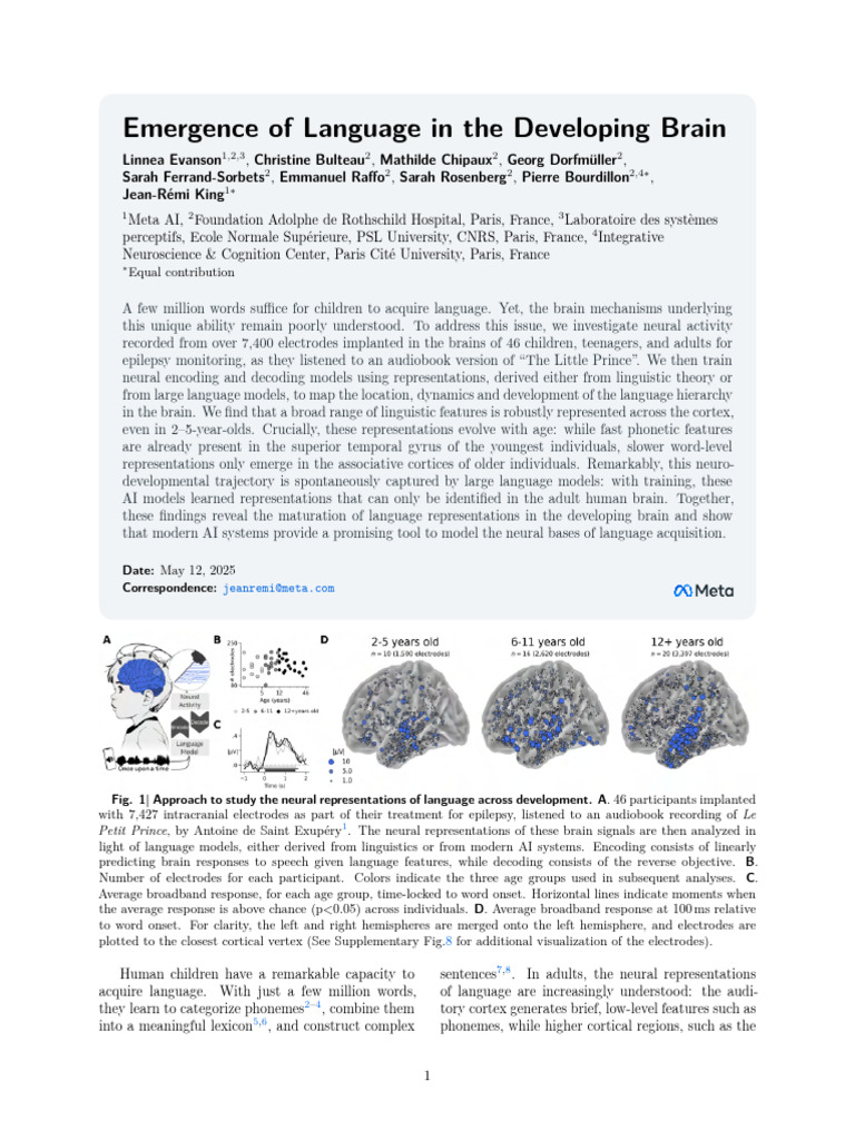 Emergence of Language in The Developing Brain | PDF ...