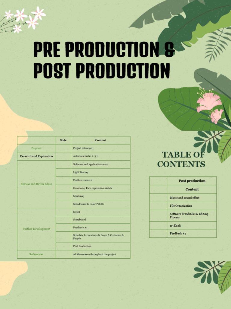 Movie - Pre Production & Post Production | PDF