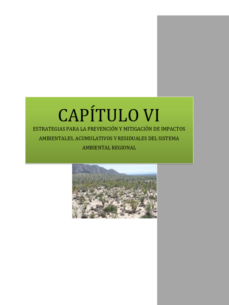 Cap VI - Proyecto Samalayuca - Sasabe - Dic15F | PDF | Entorno natural ...