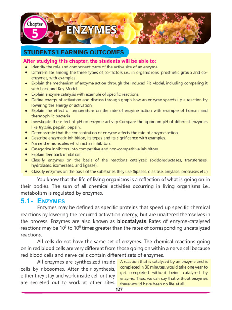 Enzymes Class 11 New Book | PDF | Enzyme | Enzyme Inhibitor