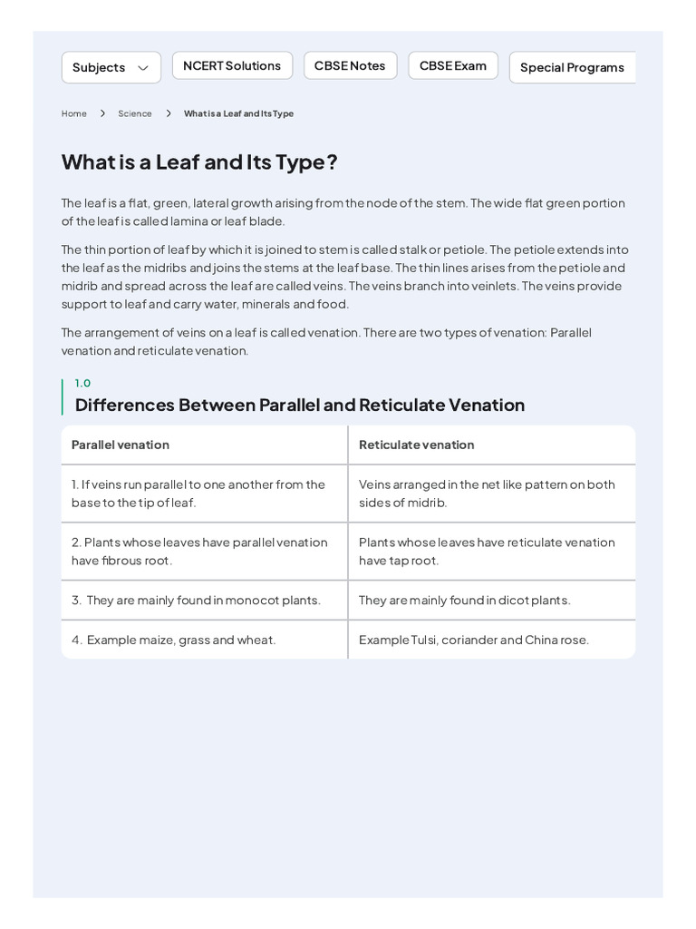 Class 6 - All About Leaves - Types,-1-5 | PDF | Leaf | Plant Morphology