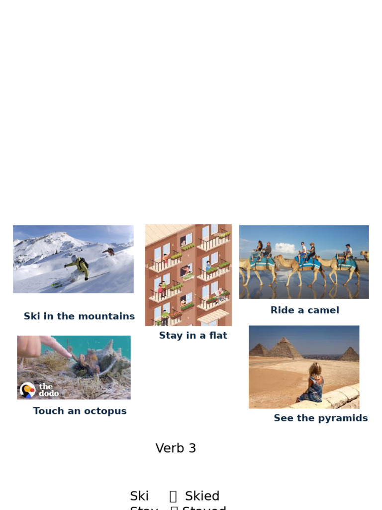 Flyers Week1 Lesson2 | PDF