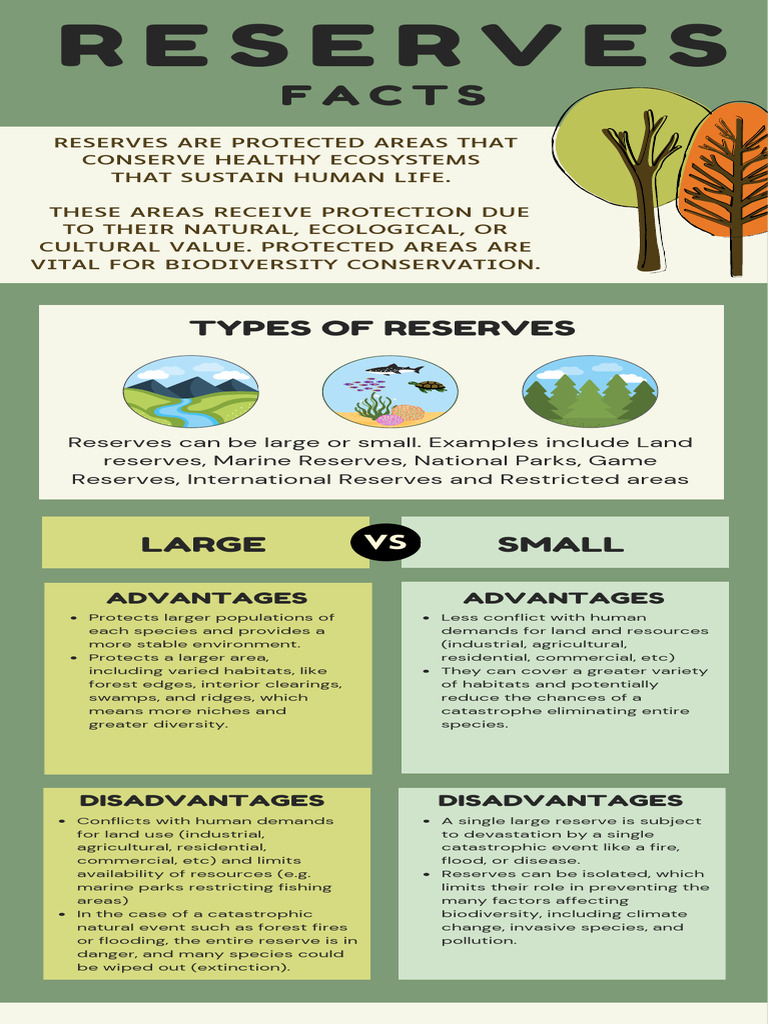 Reserves Educational Infographic | PDF