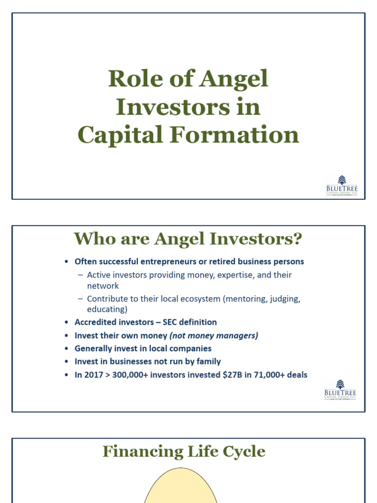 Angel Investor Landscape Cmu 12-04-19 | PDF | Corporate Finance ...